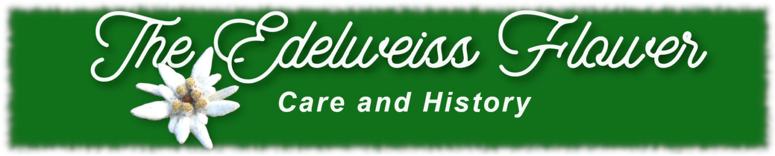 History - The Edelweiss Flower